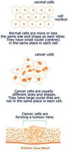 What is cancer? | Northern Ireland Cancer Network